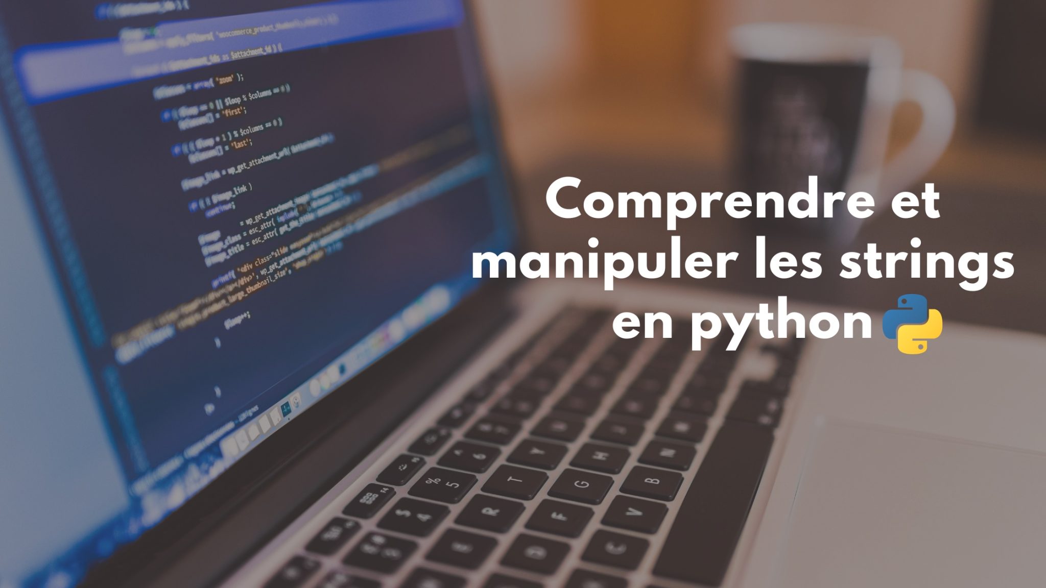 Comprendre et manipuler les strings en Python